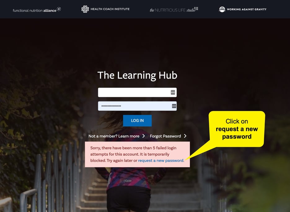 How to Reset Your Password